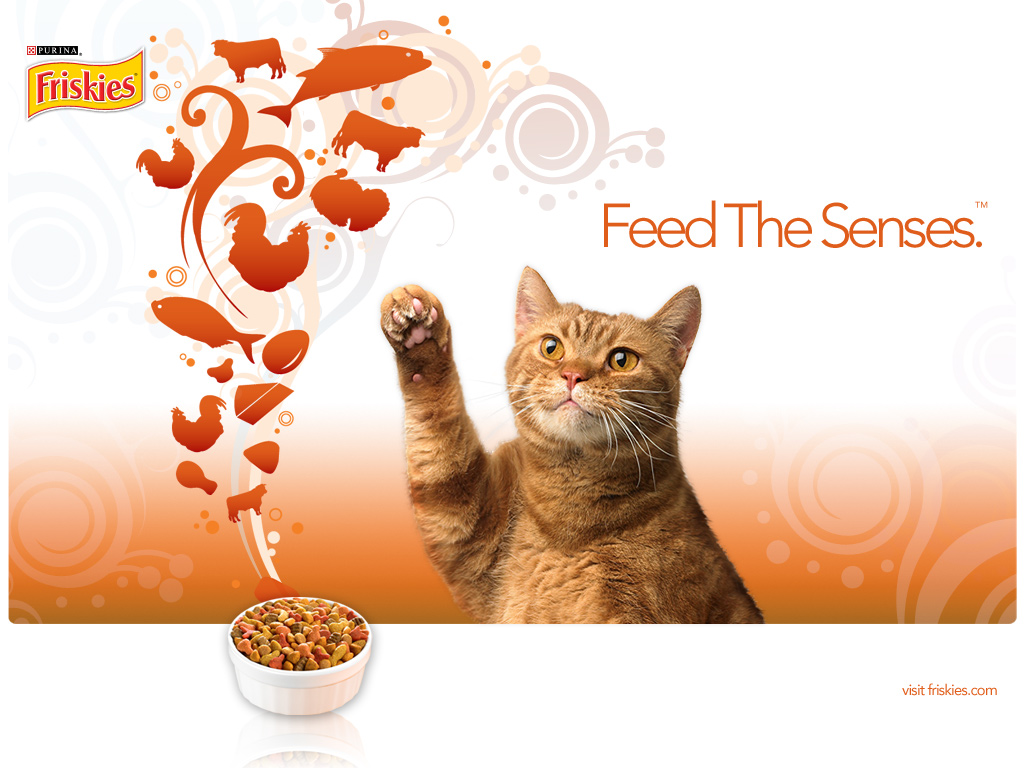 Friskies lança game para gatos no iPad - Promoview - Insights sobre ...